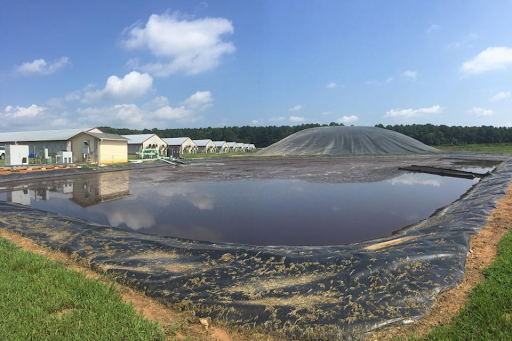 Renewable Natural Gas – A Primer on North Carolina’s Biogas Resources ...